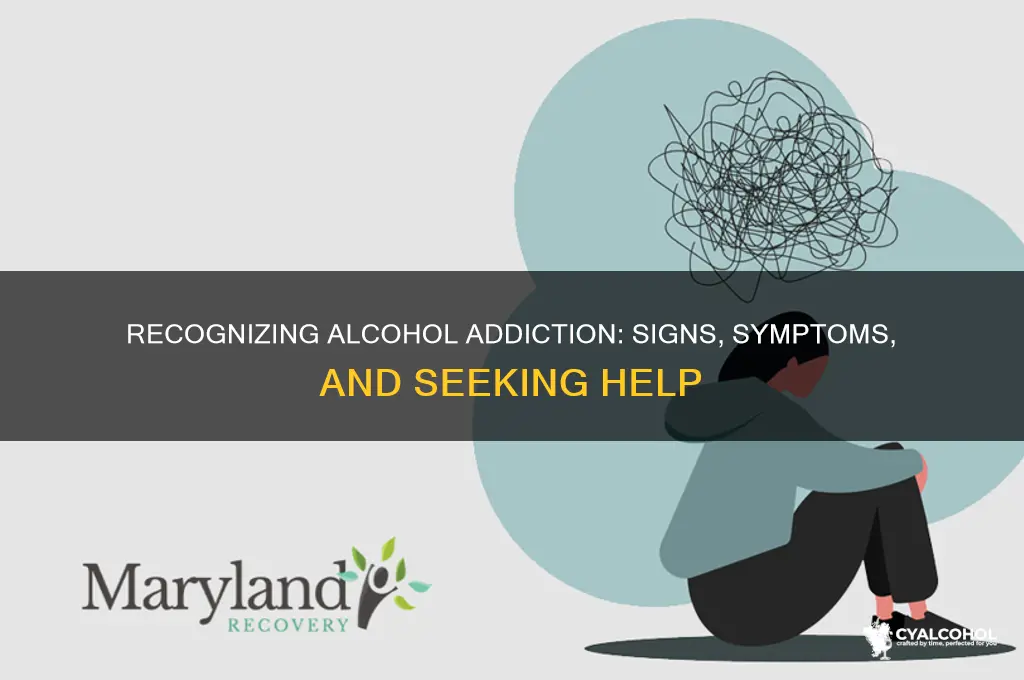 Recognizing Alcohol Addiction: Signs, Symptoms, And Seeking Help ...