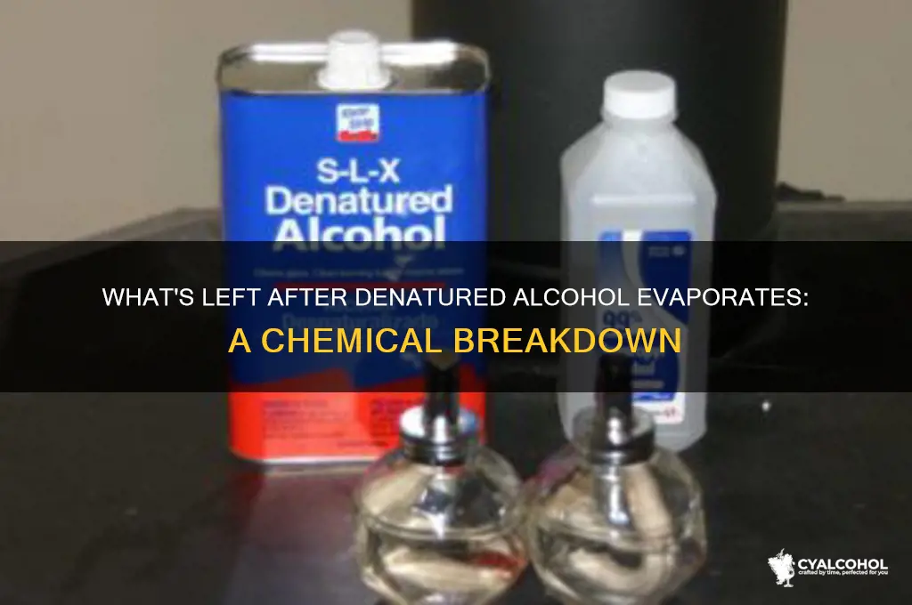 What's Left After Denatured Alcohol Evaporates: A Chemical Breakdown ...