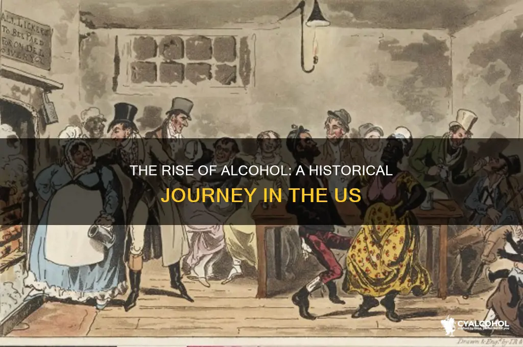 The Rise Of Alcohol: A Historical Journey In The Us | CyAlcohol