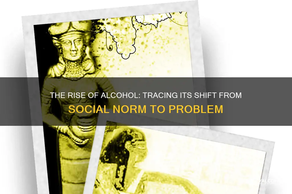 The Rise Of Alcohol: Tracing Its Shift From Social Norm To Problem ...