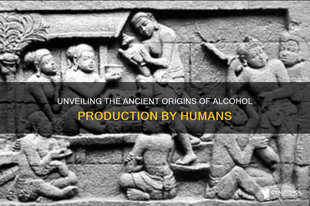 Unveiling The Ancient Origins Of Alcohol Production By Humans | CyAlcohol