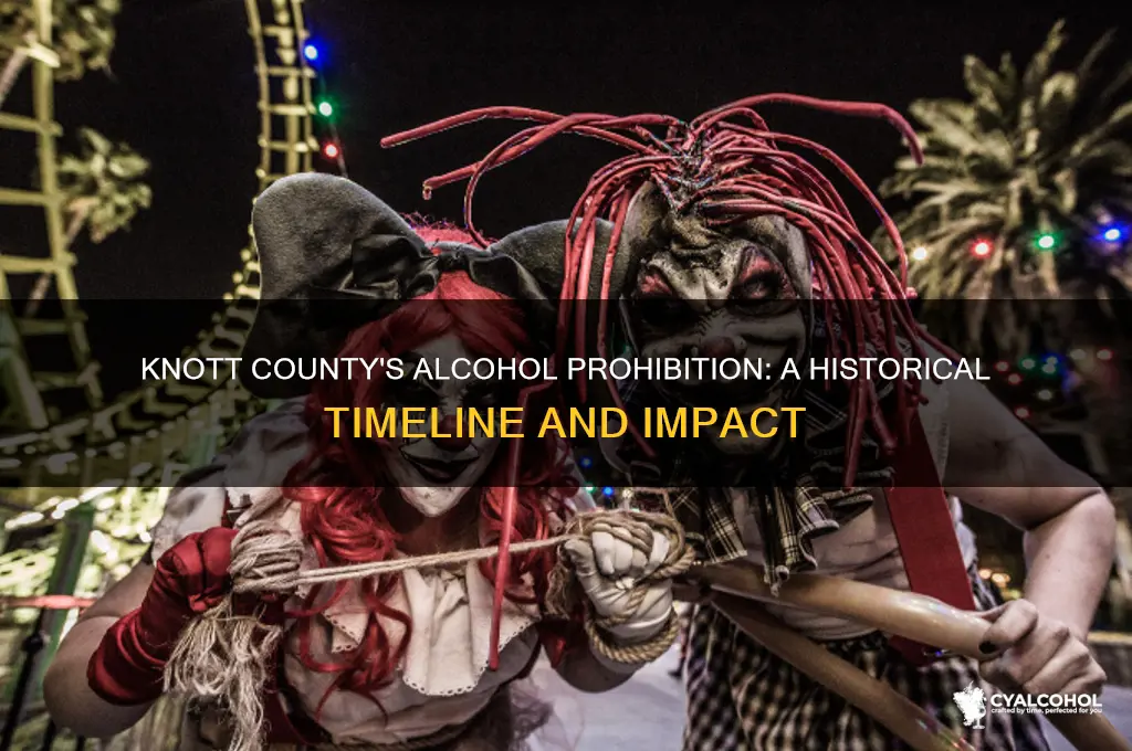 Knott County's Alcohol Prohibition: A Historical Timeline And Impact ...