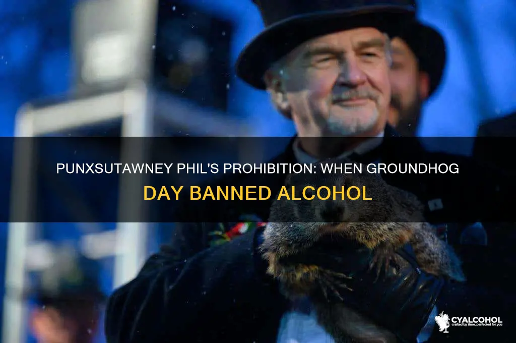 Punxsutawney Phil's Prohibition: When Groundhog Day Banned Alcohol ...