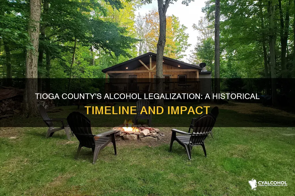 Tioga County's Alcohol Legalization: A Historical Timeline And Impact ...