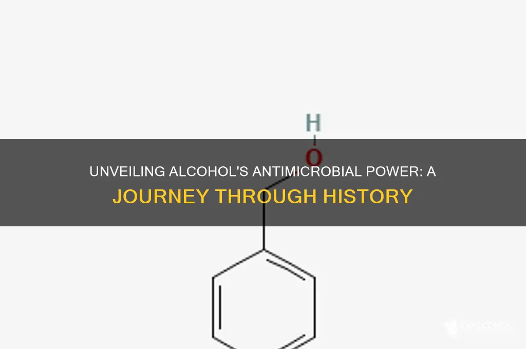 Unveiling Alcohol's Antimicrobial Power: A Journey Through History ...