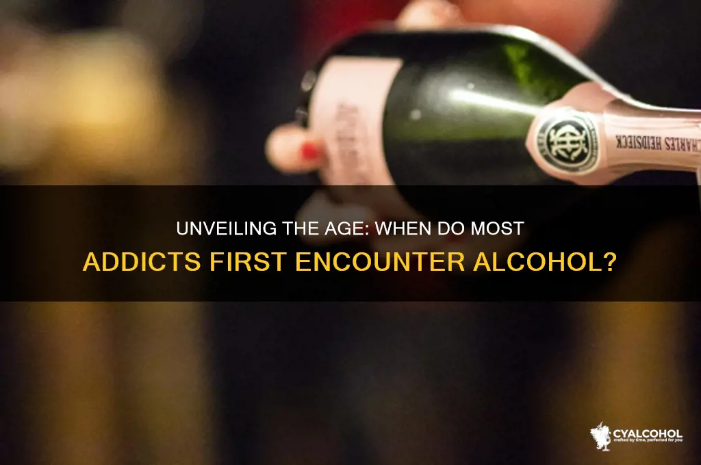 Unveiling The Age: When Do Most Addicts First Encounter Alcohol ...