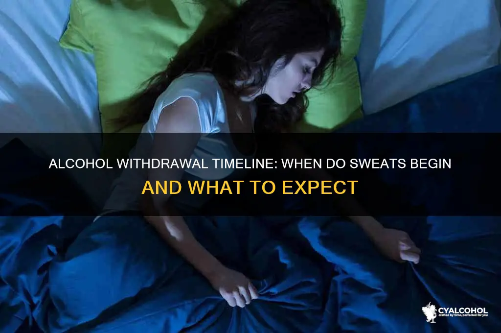 Alcohol Withdrawal Timeline: When Do Sweats Begin And What To Expect ...