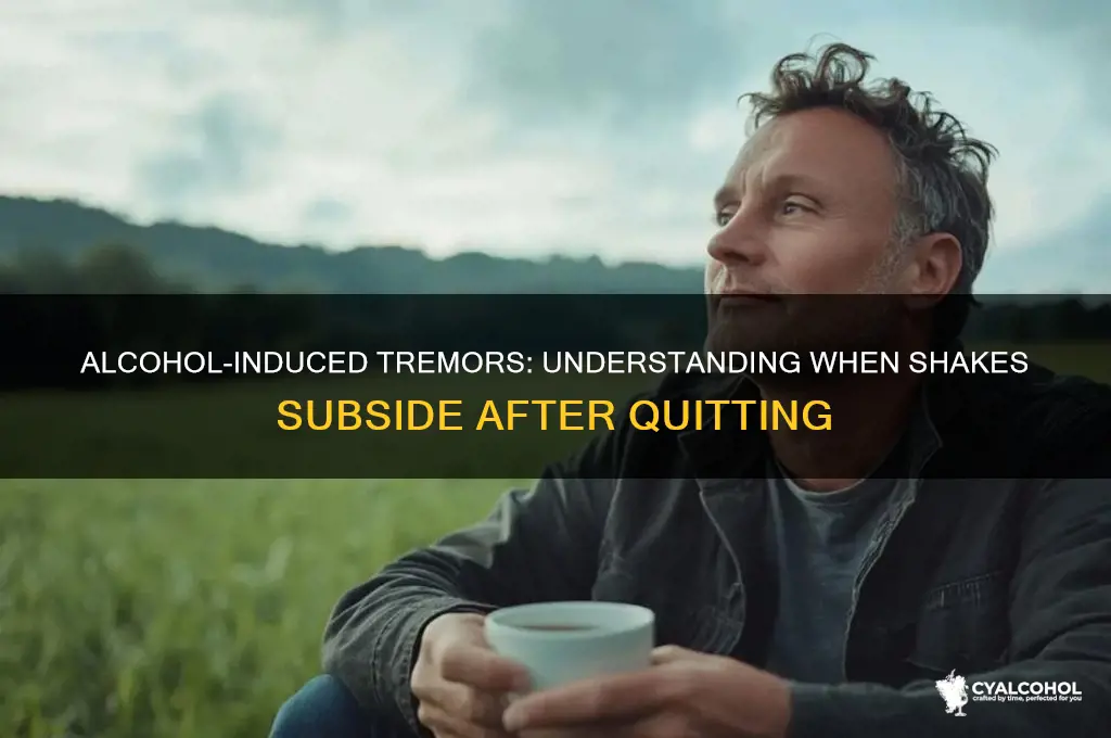 Alcohol-Induced Tremors: Understanding When Shakes Subside After ...
