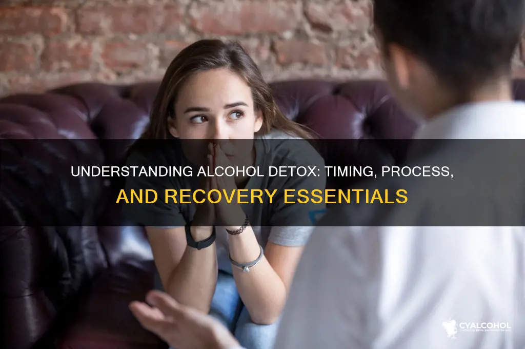 Understanding Alcohol Detox: Timing, Process, And Recovery Essentials ...