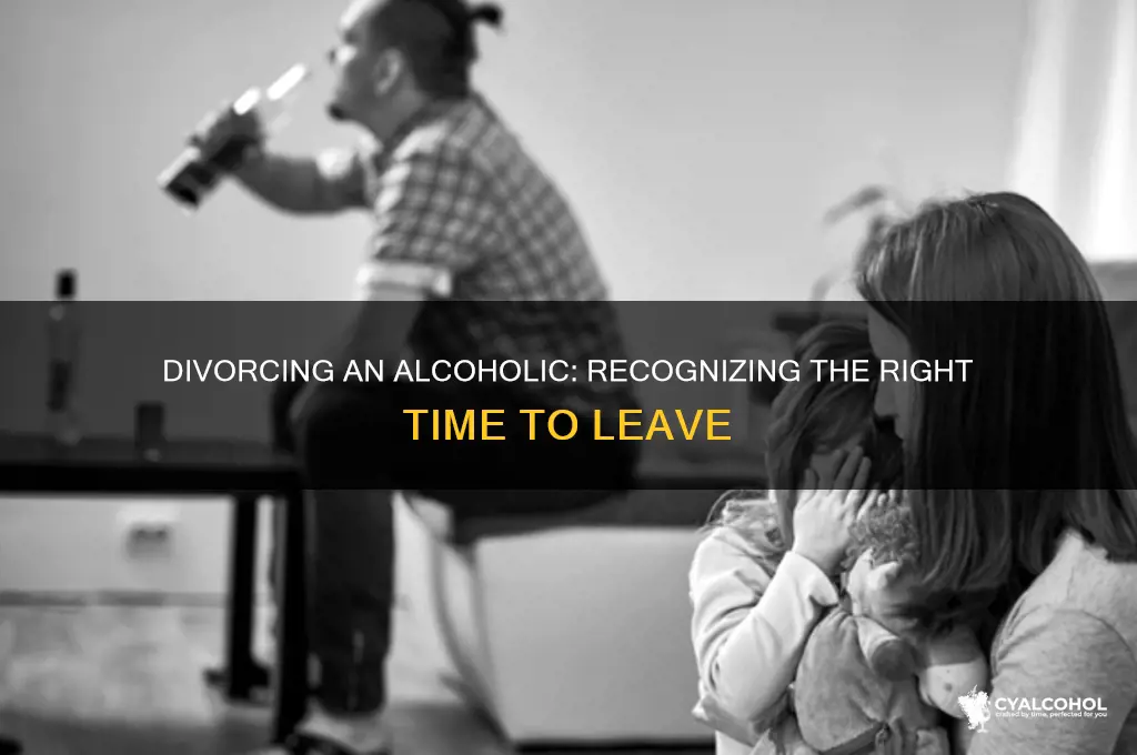 Divorcing An Alcoholic: Recognizing The Right Time To Leave | CyAlcohol