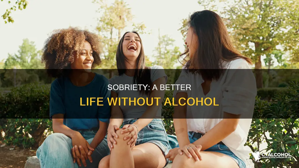 Sobriety: A Better Life Without Alcohol | CyAlcohol