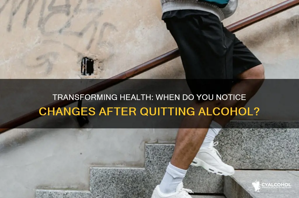 Transforming Health: When Do You Notice Changes After Quitting Alcohol ...