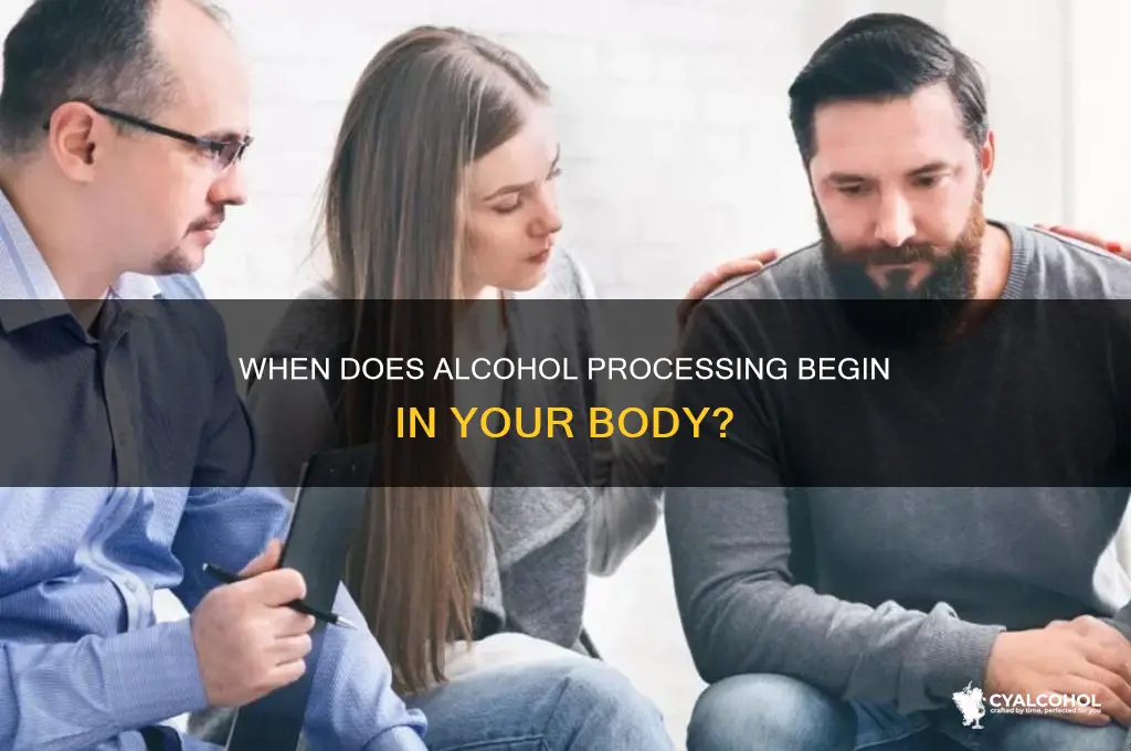 When Does Alcohol Processing Begin In Your Body? | CyAlcohol