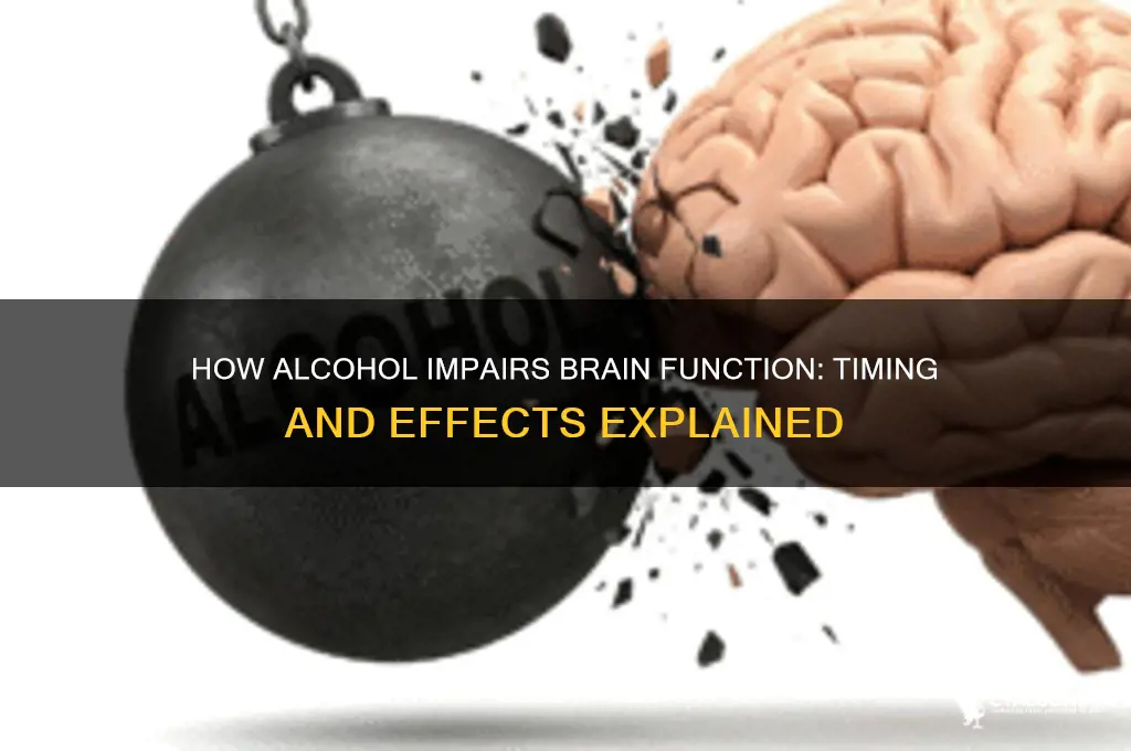 How Alcohol Impairs Brain Function: Timing And Effects Explained ...