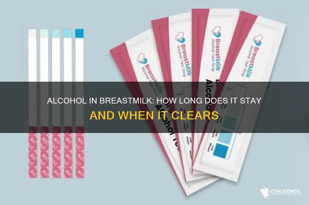 Alcohol In Breastmilk: How Long Does It Stay And When It Clears | CyAlcohol