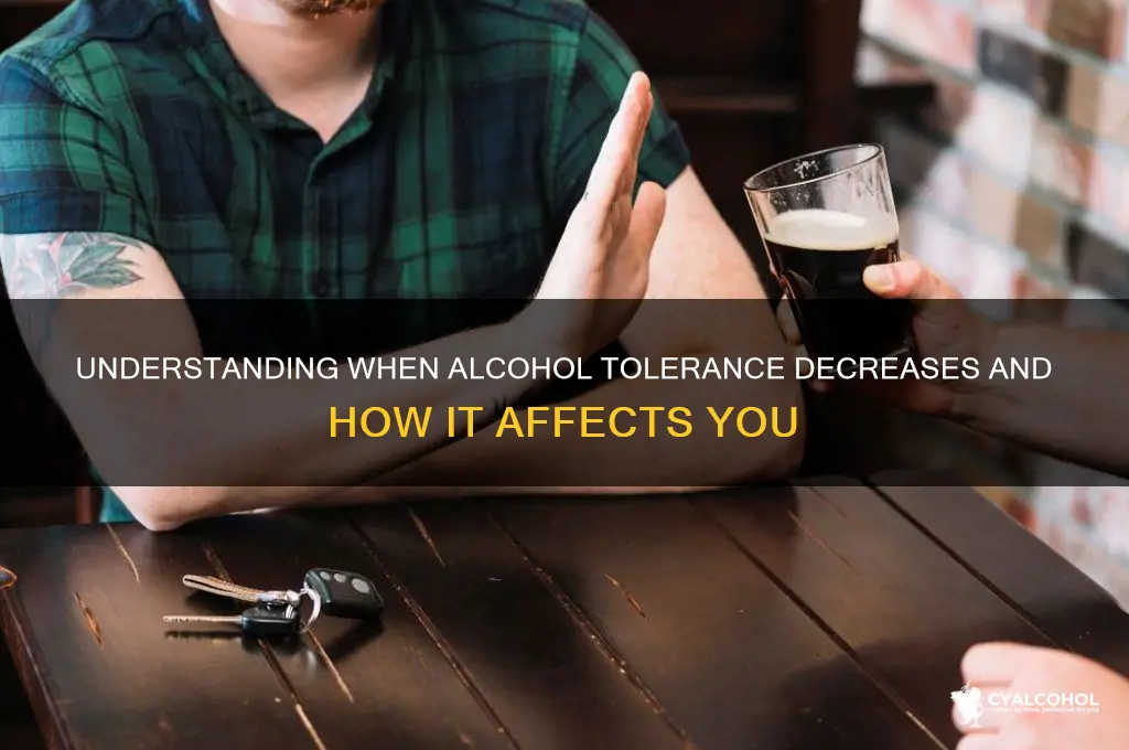 Understanding When Alcohol Tolerance Decreases And How It Affects You ...