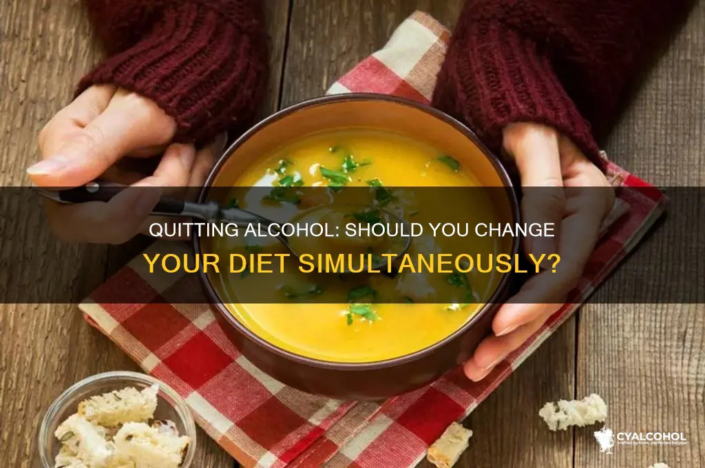 Quitting Alcohol: Should You Change Your Diet Simultaneously? | CyAlcohol