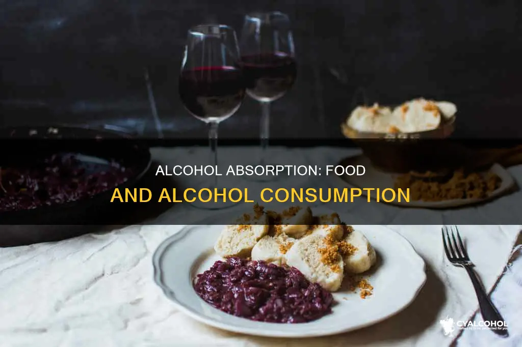 Alcohol Absorption: Food And Alcohol Consumption | CyAlcohol