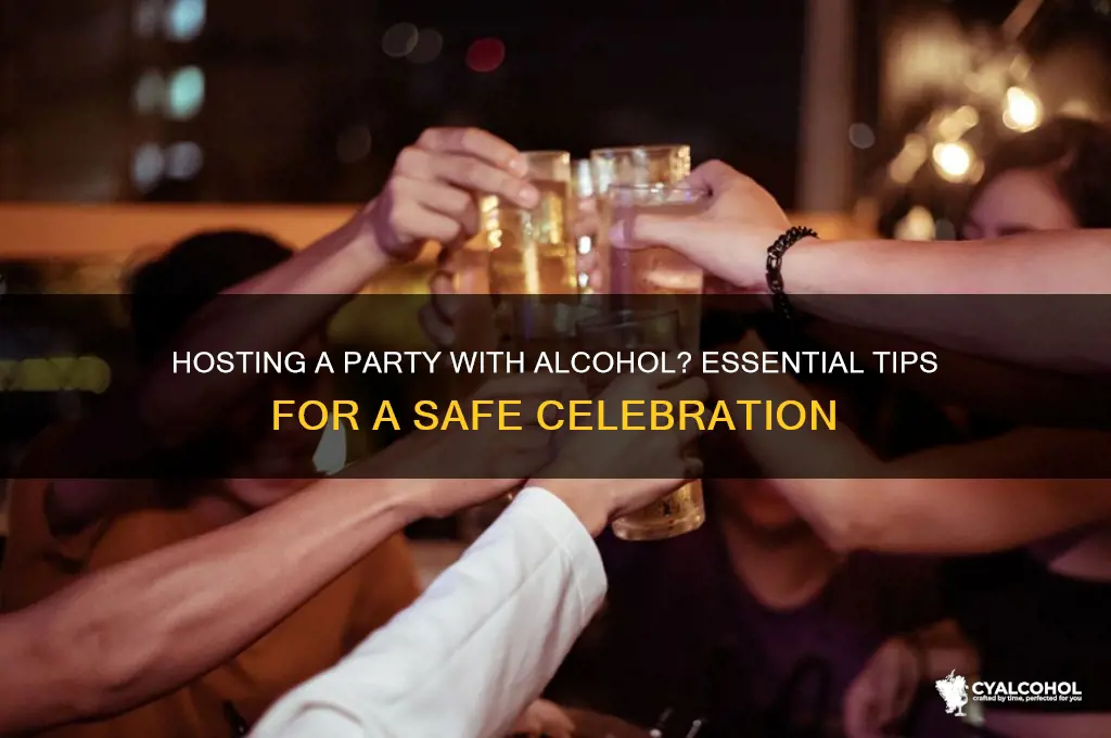 Hosting A Party With Alcohol? Essential Tips For A Safe Celebration ...