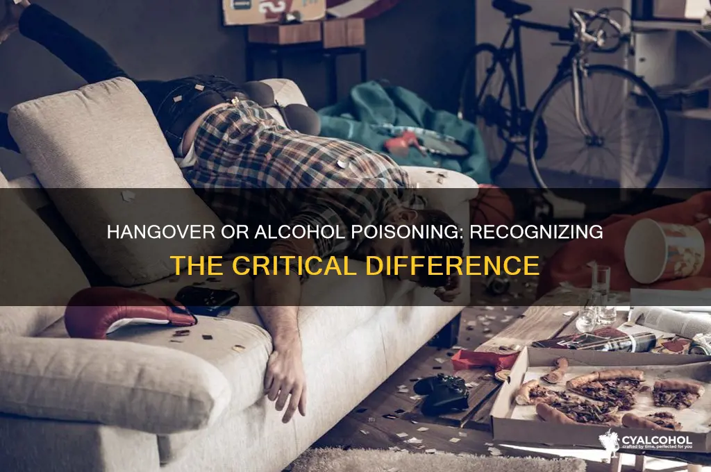 Hangover Or Alcohol Poisoning: Recognizing The Critical Difference ...