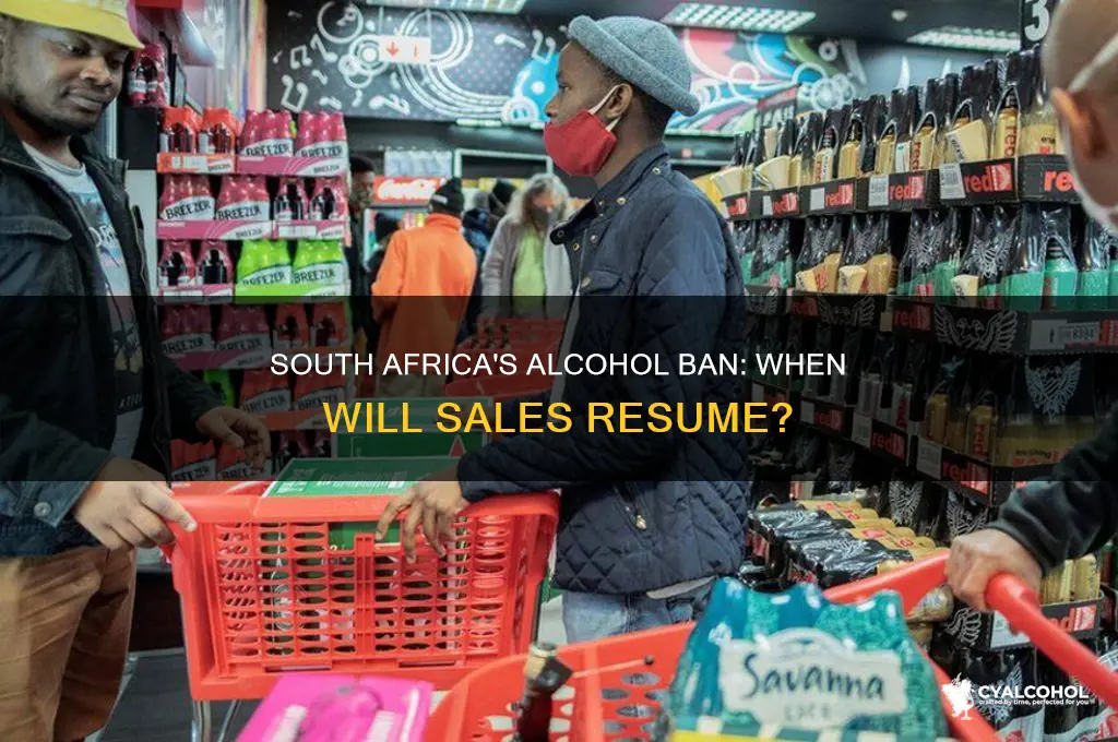 South Africa's Alcohol Ban: When Will Sales Resume? | CyAlcohol