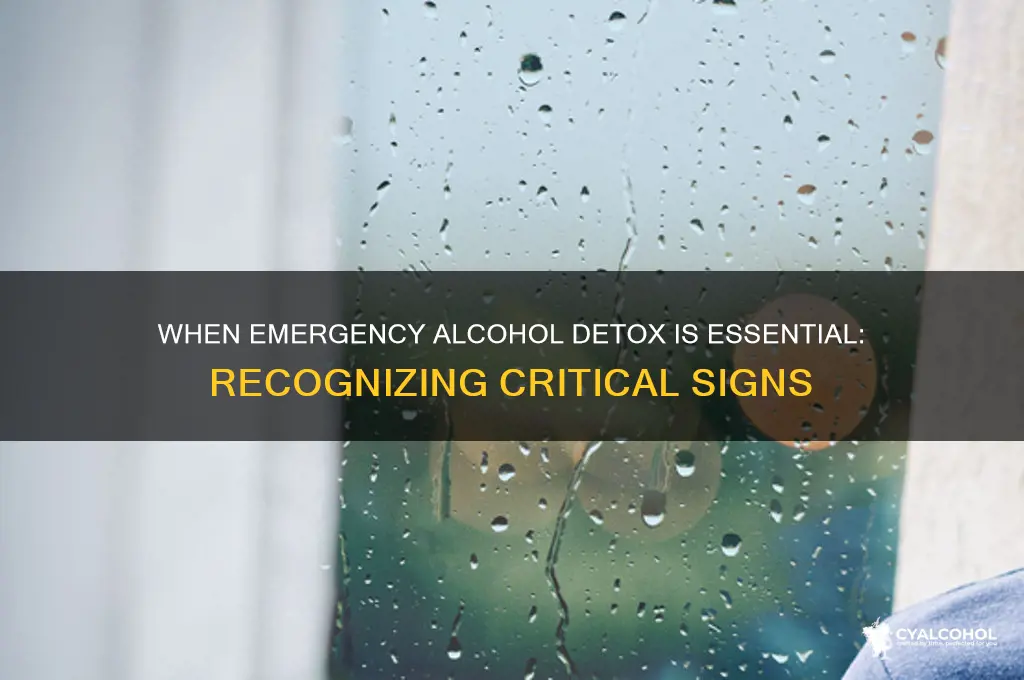 When Emergency Alcohol Detox Is Essential: Recognizing Critical Signs ...