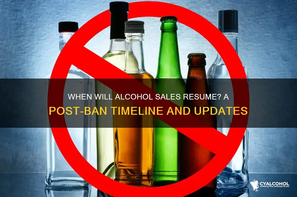 When Will Alcohol Sales Resume? A Post-Ban Timeline And Updates | CyAlcohol