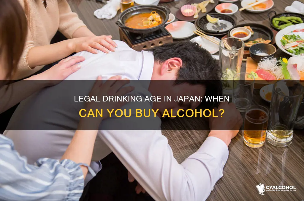 Legal Drinking Age In Japan: When Can You Buy Alcohol? | CyAlcohol