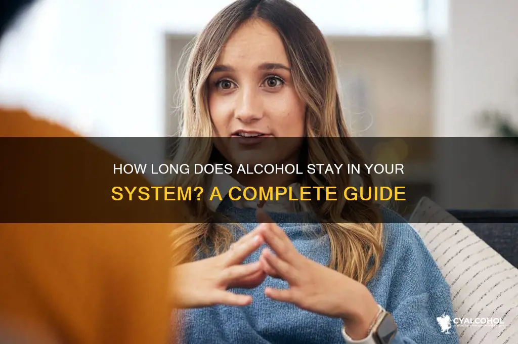 How Long Does Alcohol Stay In Your System? A Complete Guide | CyAlcohol