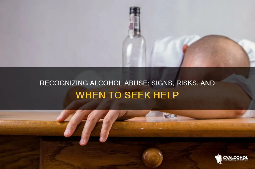 Recognizing Alcohol Abuse: Signs, Risks, And When To Seek Help | CyAlcohol