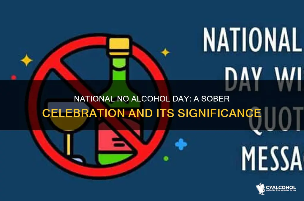 National No Alcohol Day: A Sober Celebration And Its Significance ...