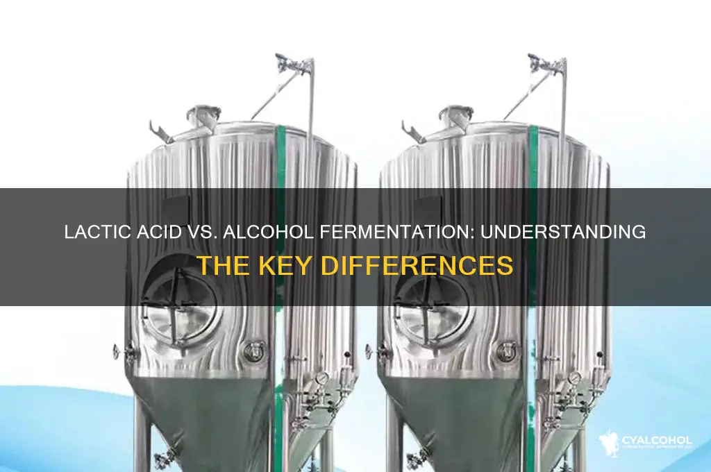 Lactic Acid Vs. Alcohol Fermentation: Understanding The Key Differences ...