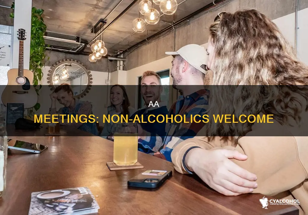 Aa Meetings: Non-Alcoholics Welcome | CyAlcohol