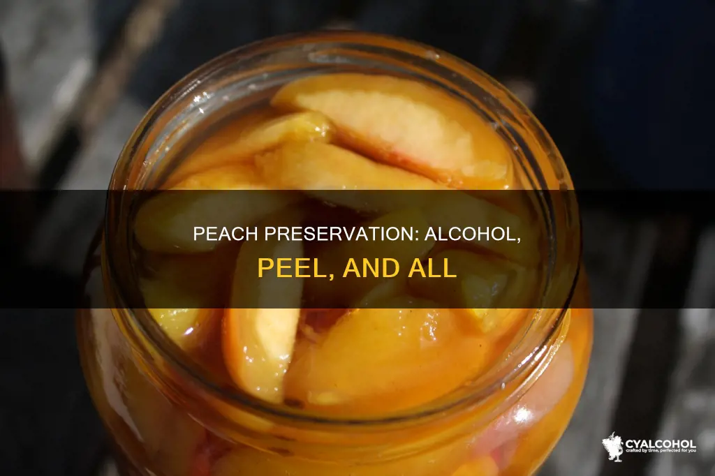 Peach Preservation: Alcohol, Peel, And All | CyAlcohol