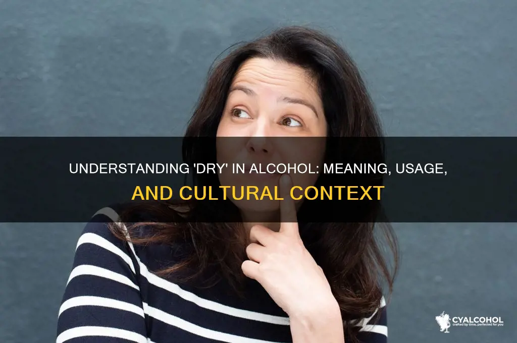Understanding 'Dry' In Alcohol: Meaning, Usage, And Cultural Context ...