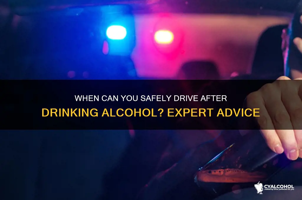 When Can You Safely Drive After Drinking Alcohol? Expert Advice | CyAlcohol