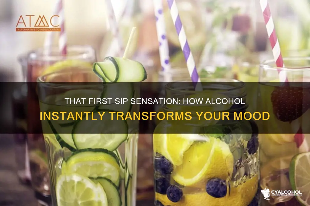 That First Sip Sensation: How Alcohol Instantly Transforms Your Mood ...
