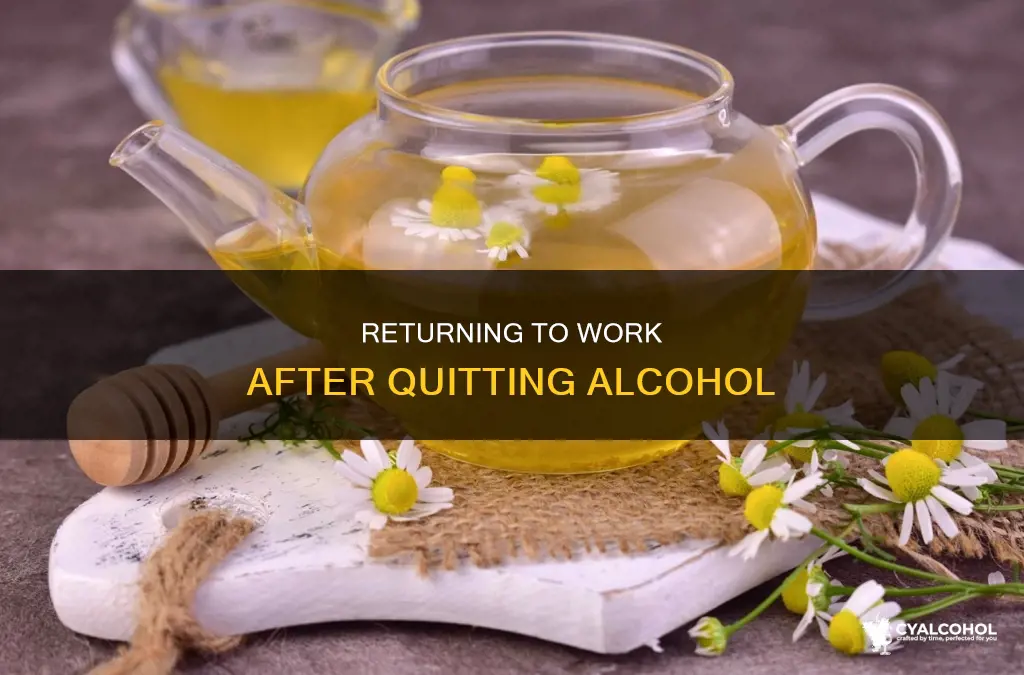 Returning To Work After Quitting Alcohol | CyAlcohol