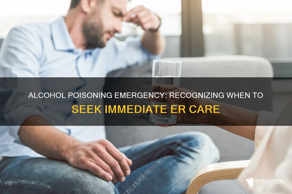 Alcohol Poisoning Emergency: Recognizing When To Seek Immediate Er Care ...