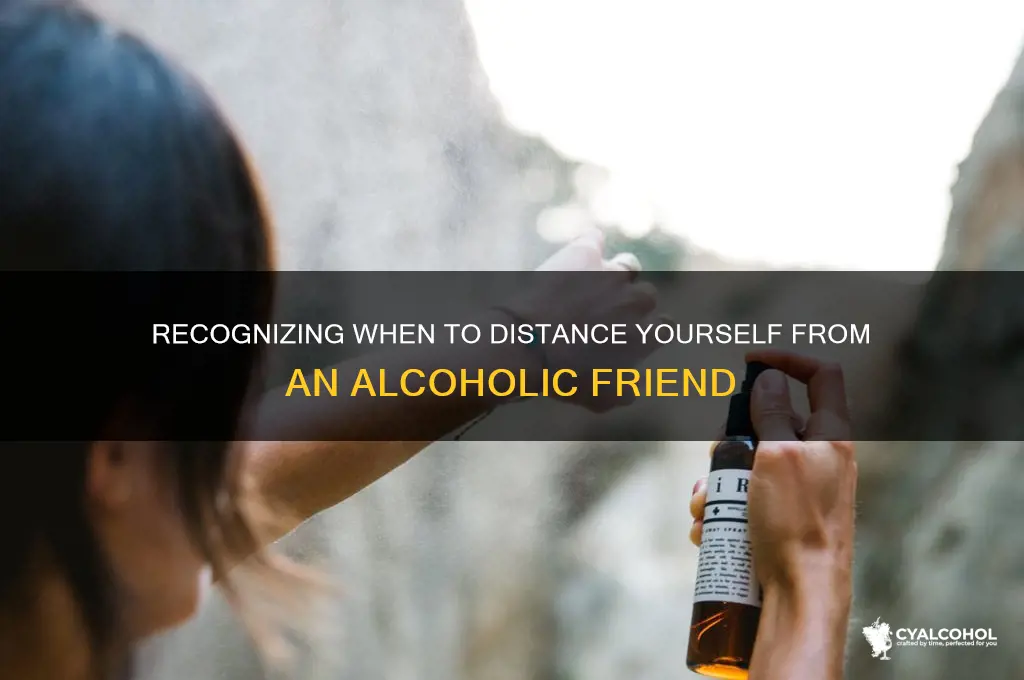 Recognizing When To Distance Yourself From An Alcoholic Friend | CyAlcohol