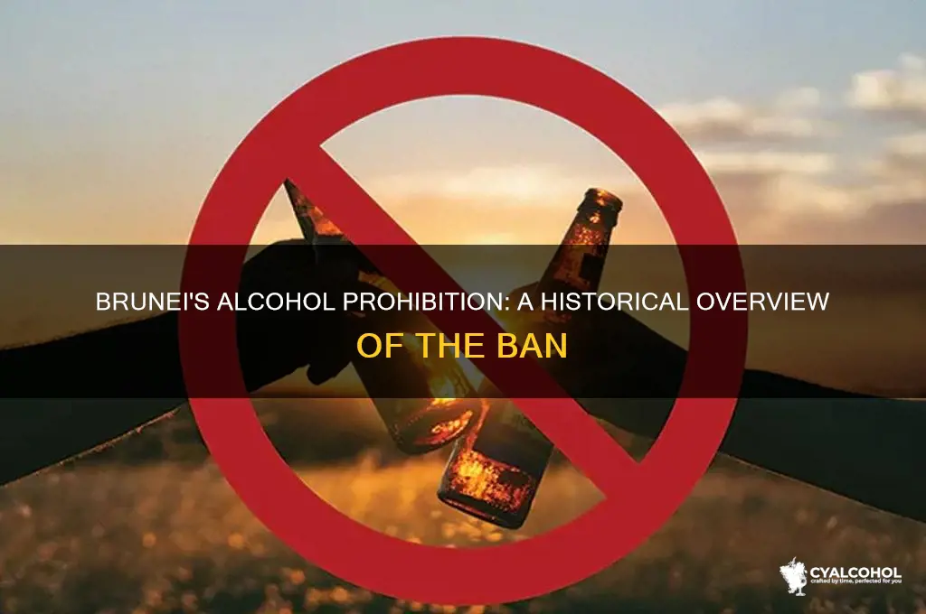 Brunei's Alcohol Prohibition: A Historical Overview Of The Ban | CyAlcohol