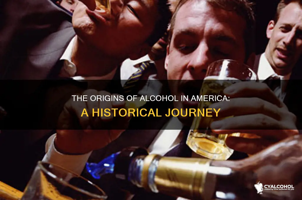 The Origins Of Alcohol In America: A Historical Journey | CyAlcohol