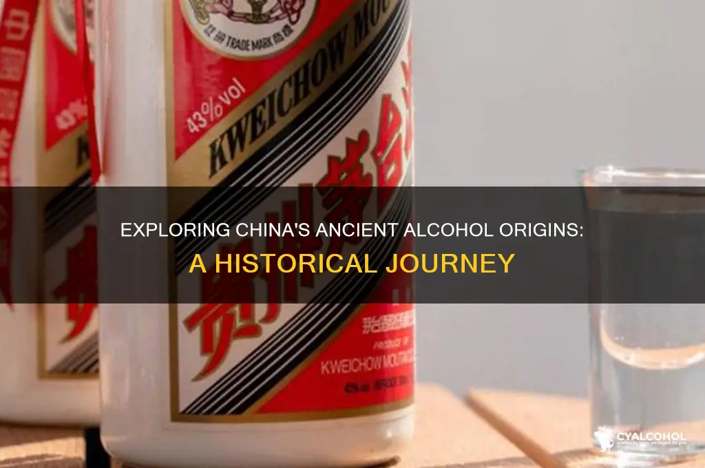 Exploring China's Ancient Alcohol Origins: A Historical Journey | CyAlcohol