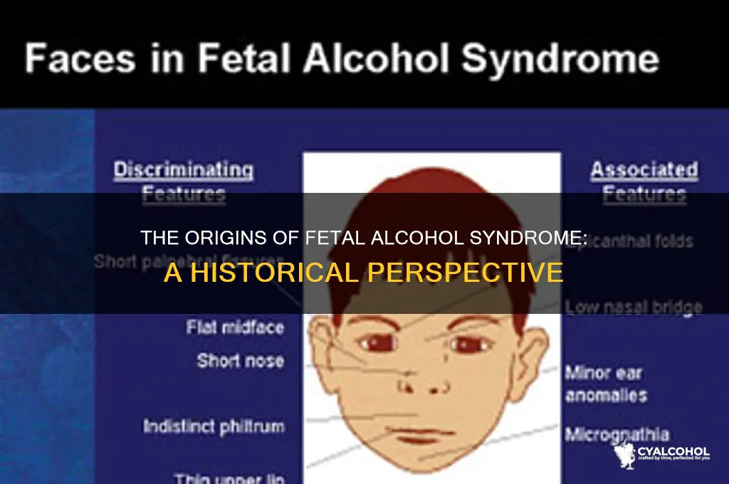 The Origins Of Fetal Alcohol Syndrome: A Historical Perspective | CyAlcohol