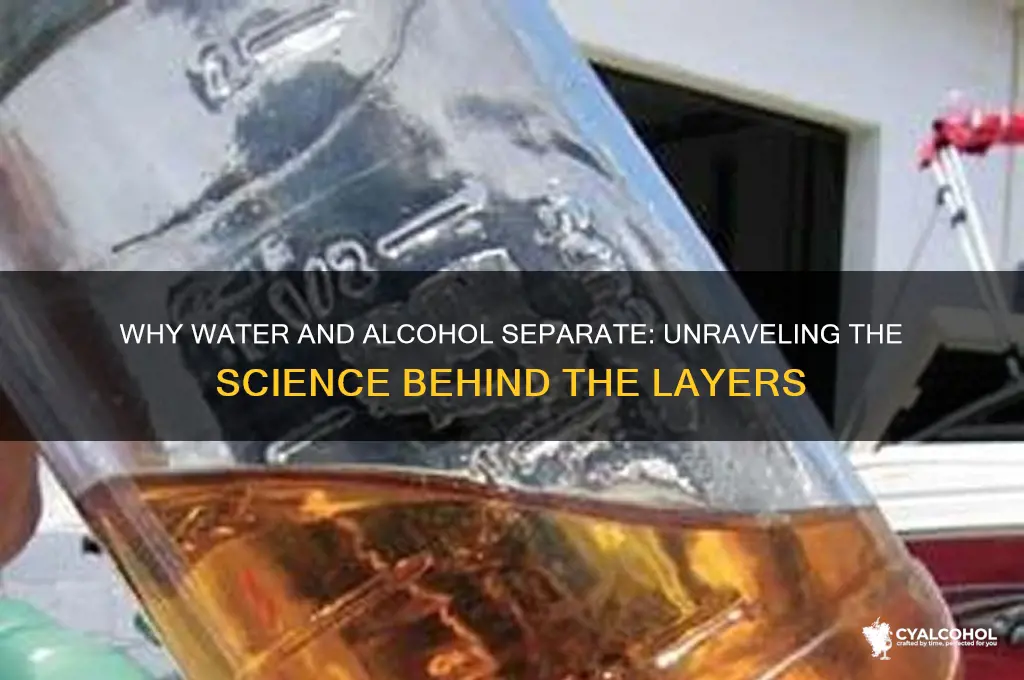 Why Water And Alcohol Separate: Unraveling The Science Behind The ...
