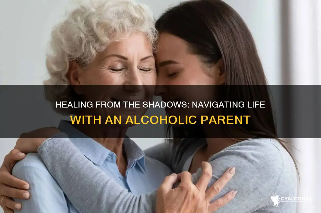 Healing From The Shadows: Navigating Life With An Alcoholic Parent ...