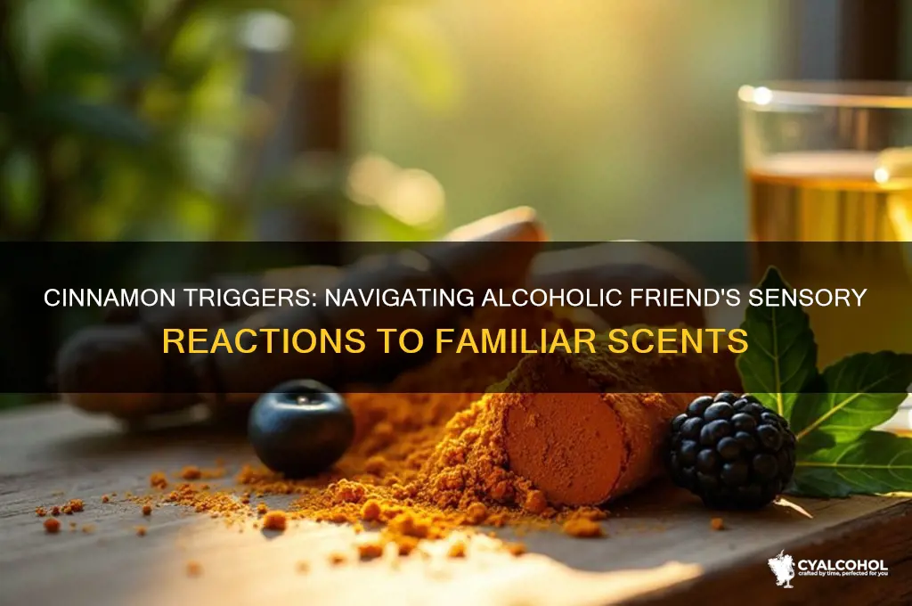 Cinnamon Triggers: Navigating Alcoholic Friend's Sensory Reactions To ...