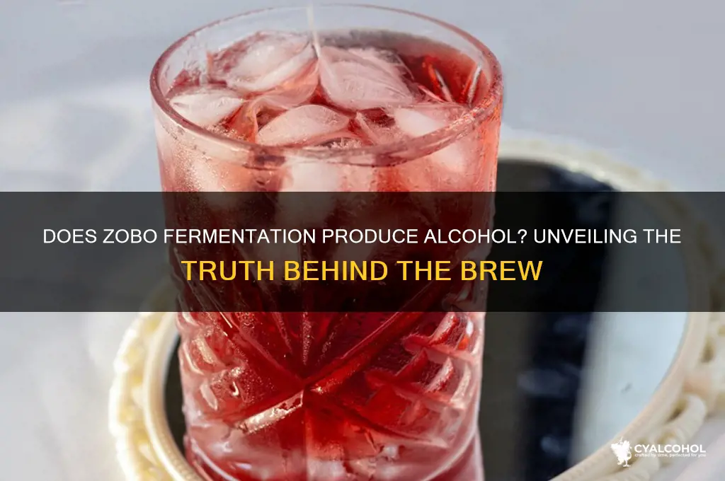 Does Zobo Fermentation Produce Alcohol? Unveiling The Truth Behind The ...