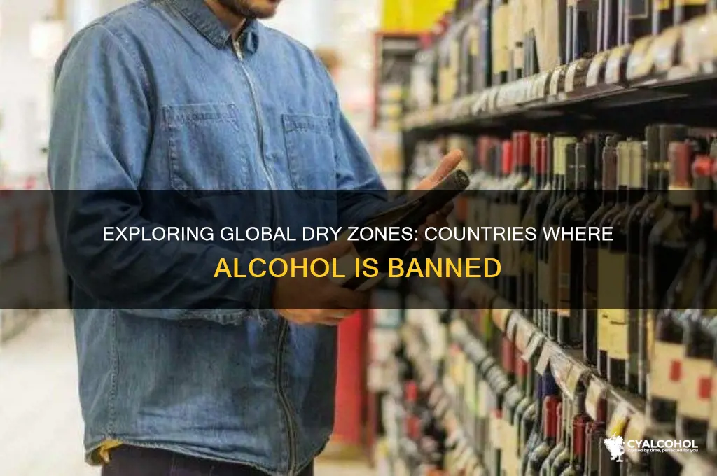 Exploring Global Dry Zones: Countries Where Alcohol Is Banned | CyAlcohol