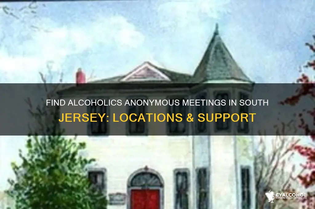 Find Alcoholics Anonymous Meetings In South Jersey: Locations & Support ...
